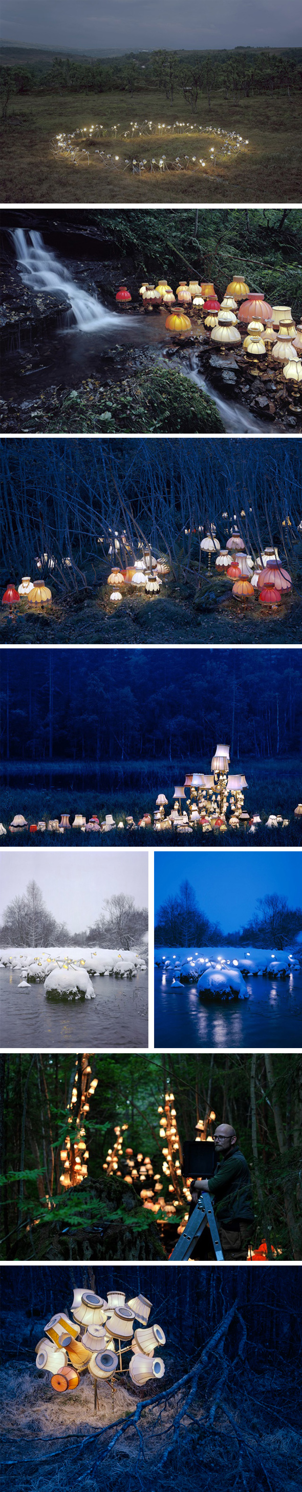 Rune Guneriussen : les lumières de la forêt