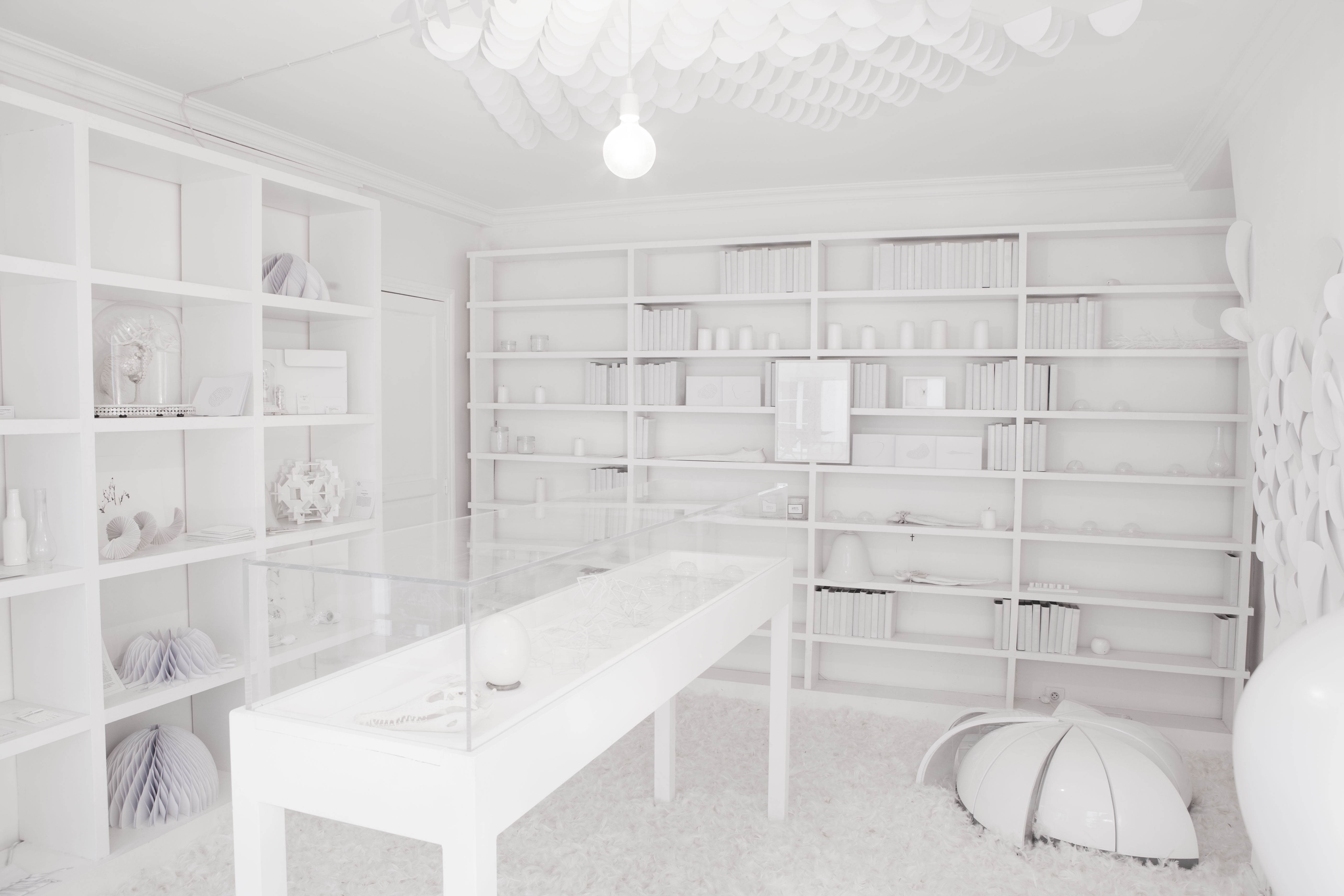 Interview d'Adrien Moisson, créateur de la Splendens Factory